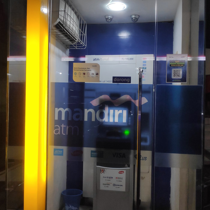 BEEPS_GENERAL_BEEP_BEEP_Geese_beep toke listrik, bird | whitenoice