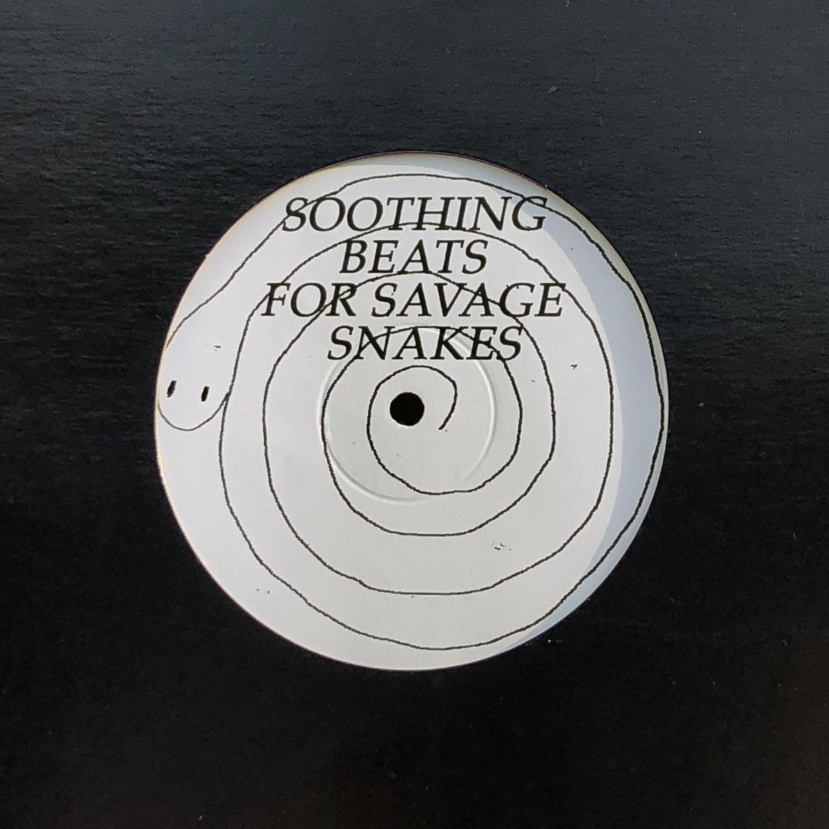Soothing Beats For Savage Snakes | Beautiful Disco