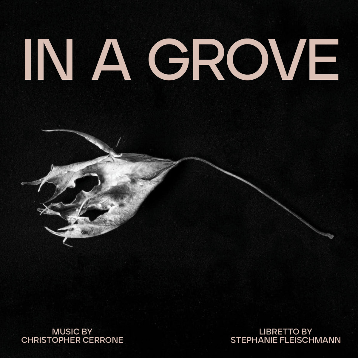 In a Grove (ICR028) | Christopher Cerrone, Stephanie Fleischmann ...