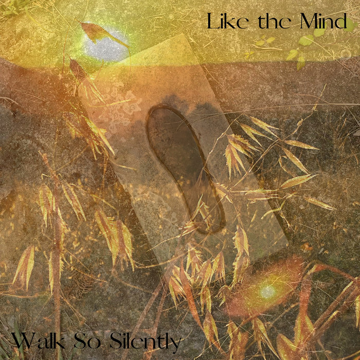 Walk So Silently | Like the Mind
