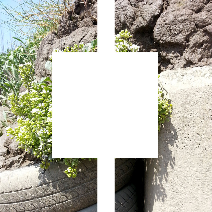 2005(1) | Manfred Werder (realised by Seth Cooke) | Seth Cooke