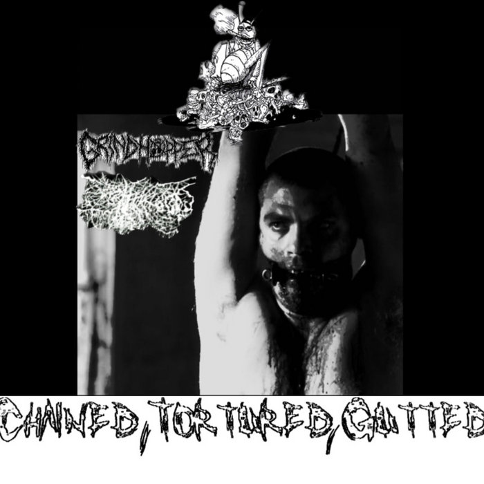 Chained, Tortured, Gutted (Rotting Body Split) | Grindhopper, Rotting ...