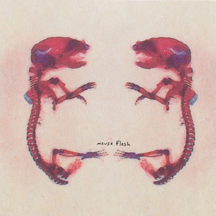 Mouse Flesh | Neon Lushell