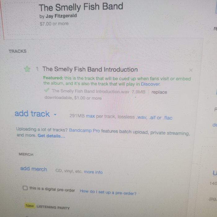 The Smelly Fish Band | Jay Fitzgerald