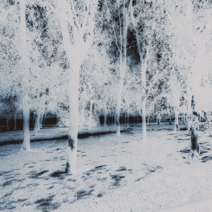 Undissolved | Hermit of the Deep