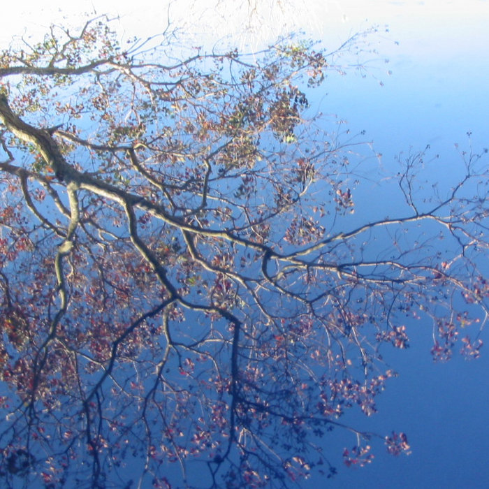 Autumn | Failing Light