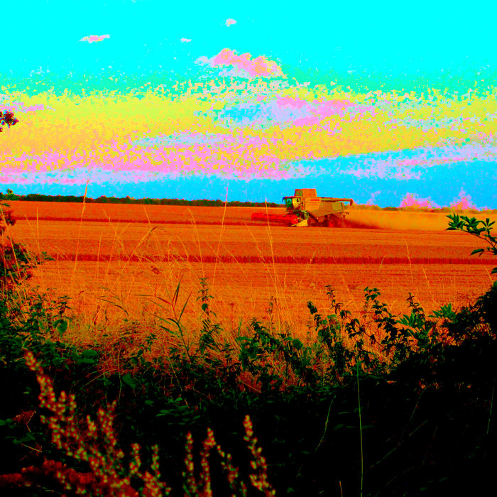 dusty answer | katharine eastman