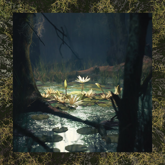 Swamp | Heaven Slept