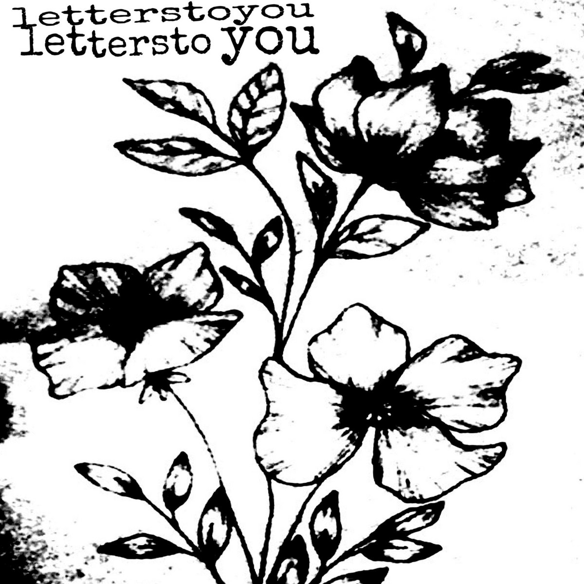 a shoebox of letterstoyou | LETTERSTOYOU | Zegema Beach Records