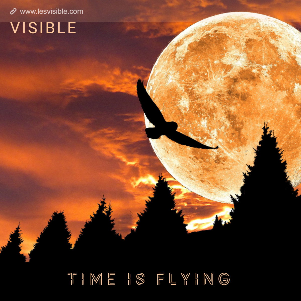 Time is Flying | Les Visible