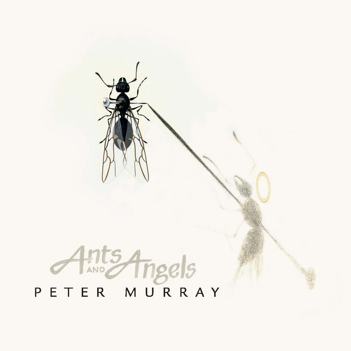 Ants and Angels | Peter Murray