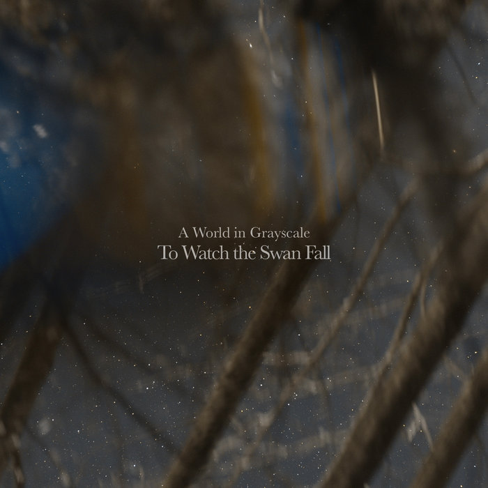 To Watch the Swan Fall | A World In Grayscale