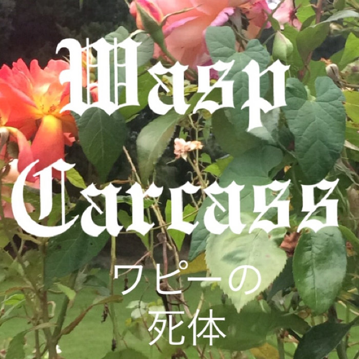 Bedroom Demos | Wasp Carcass