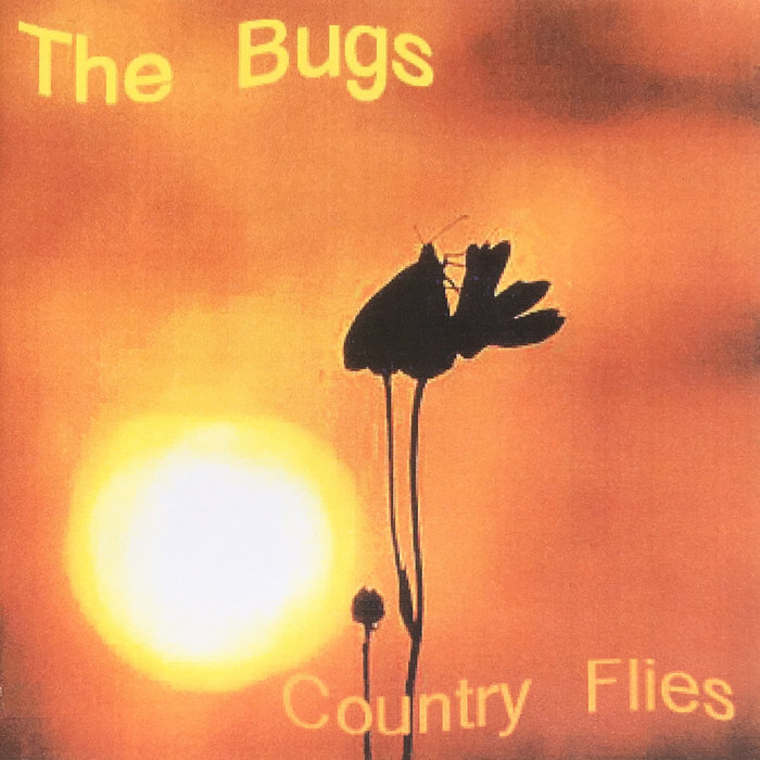 Country Flies | The Bugs