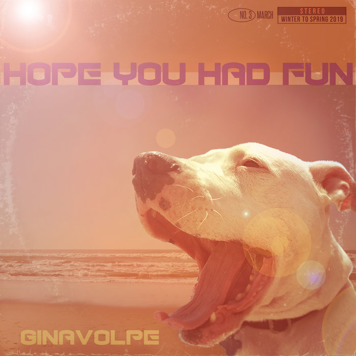 Hope You Had Fun | Gina Volpe