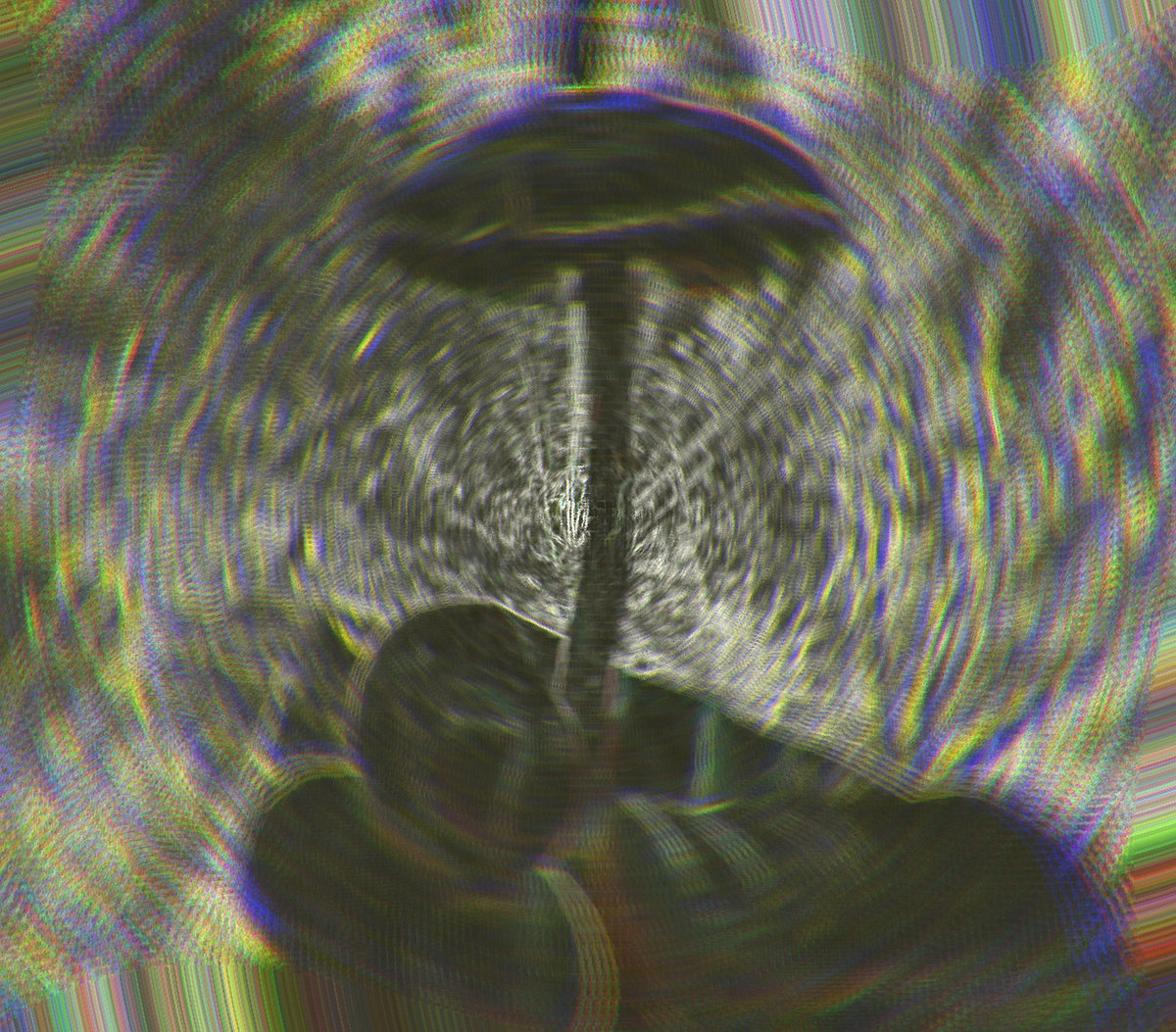 Mushrooms & Sex | The Charming Abusers