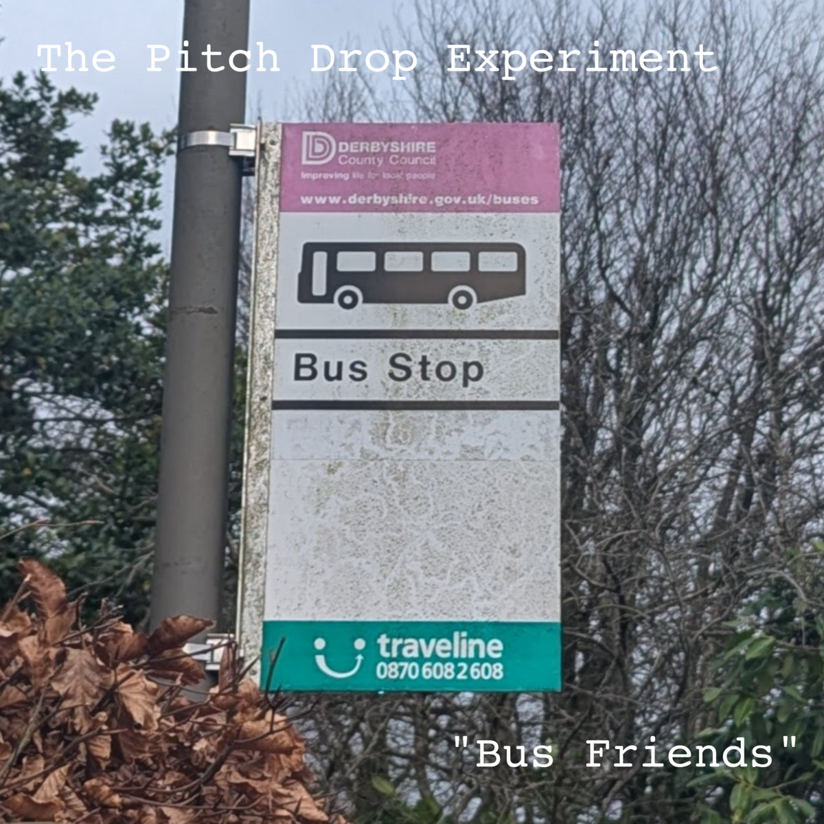 Bus Friends - Extended Version | The Pitch Drop Experiment