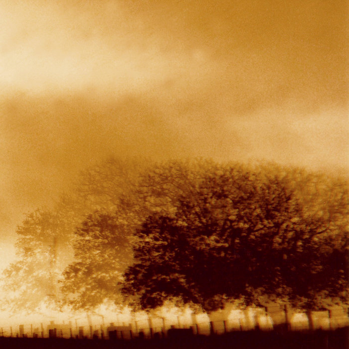 Infinite Light Ltd. | Infinite Light Ltd. | Rivulets