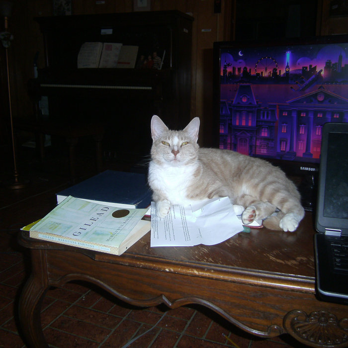 My Bonnie | George Slade Cole