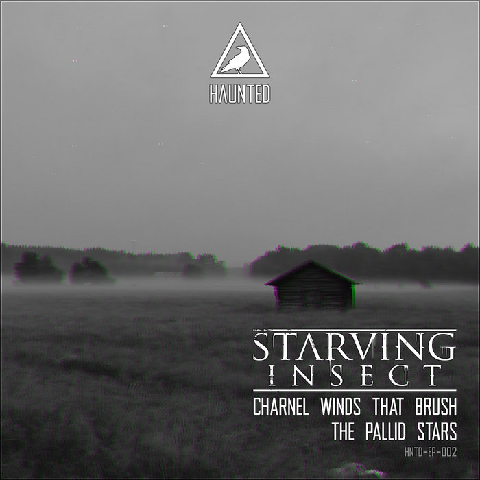 Starving Insect - Charnel Winds That Brush The Pallid Stars | Haunted