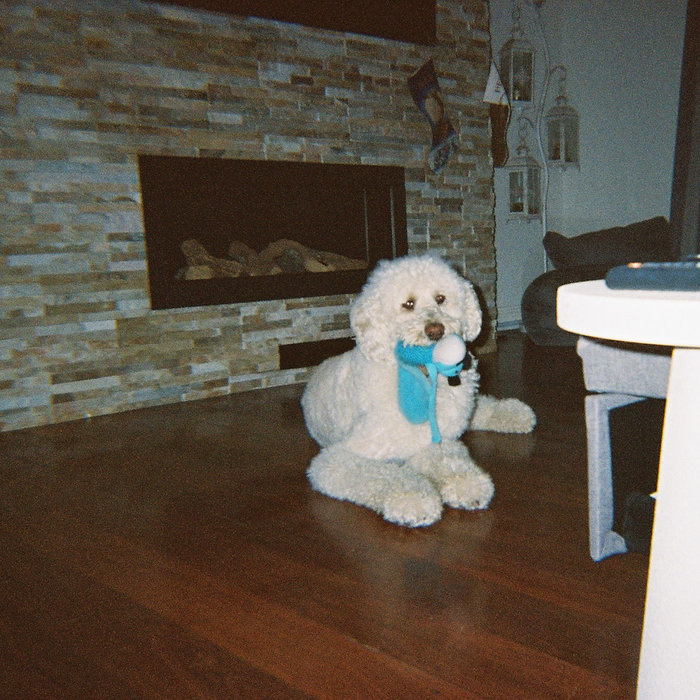 Alcestis | Cape Casper