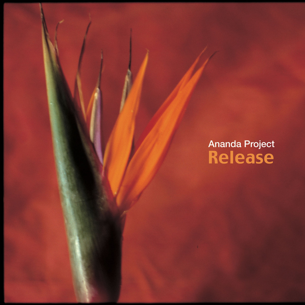 Release | Ananda Project