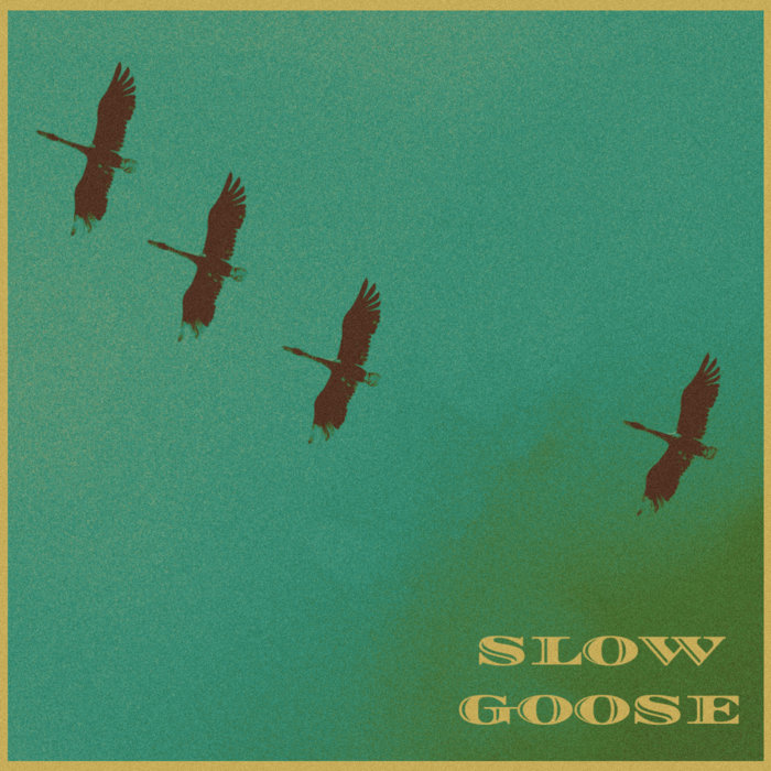 Slow Goose | Slow Goose