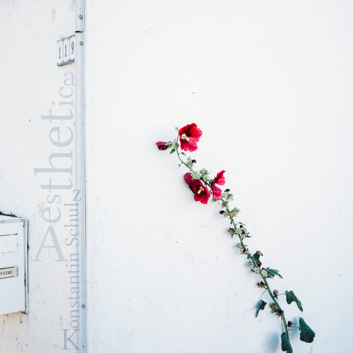 Aesthetica | Konstantin Schulz