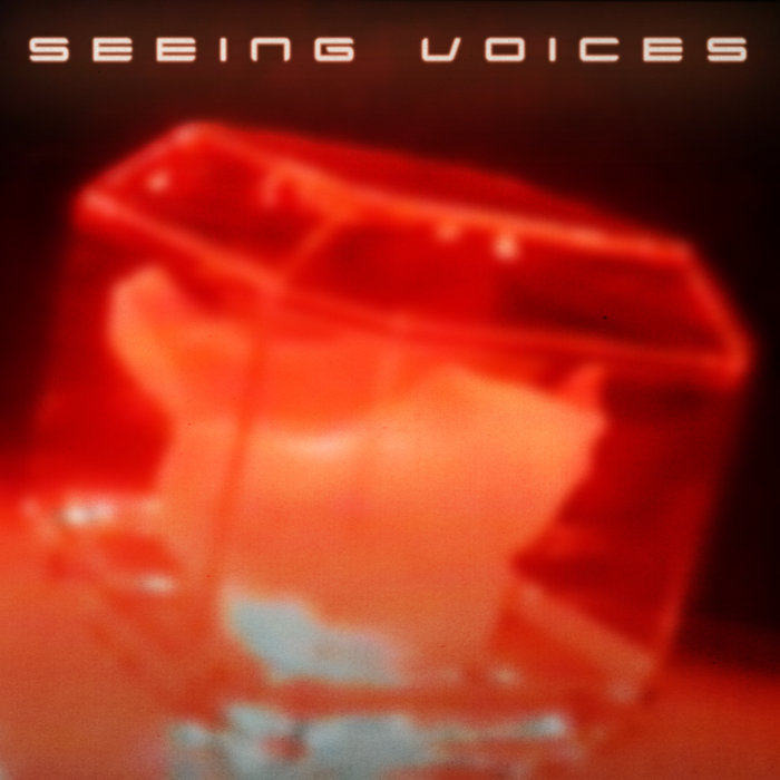 Seeing Voices | Donor Lens ft. Kiera Pixie | Donor Lens