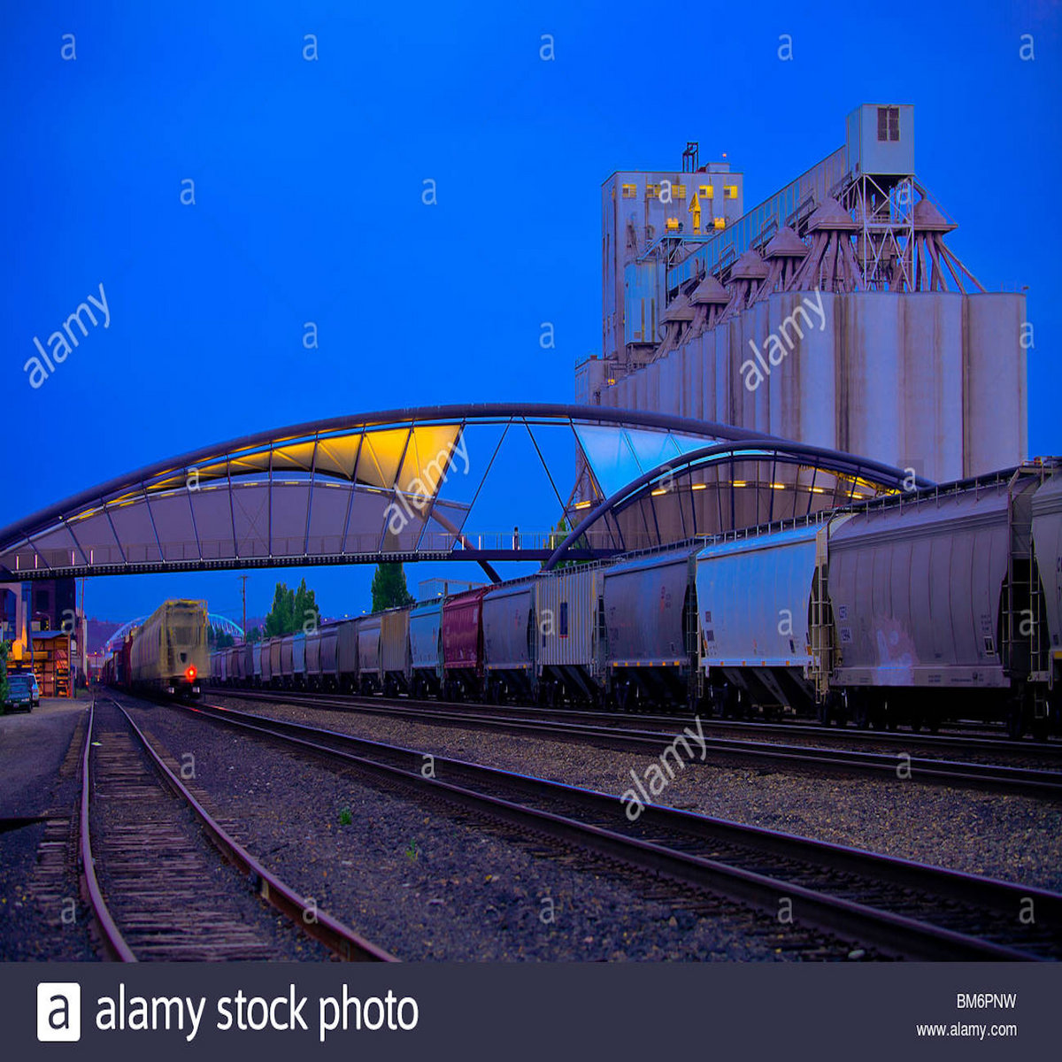 Live in the Interzone | Adam Levitt