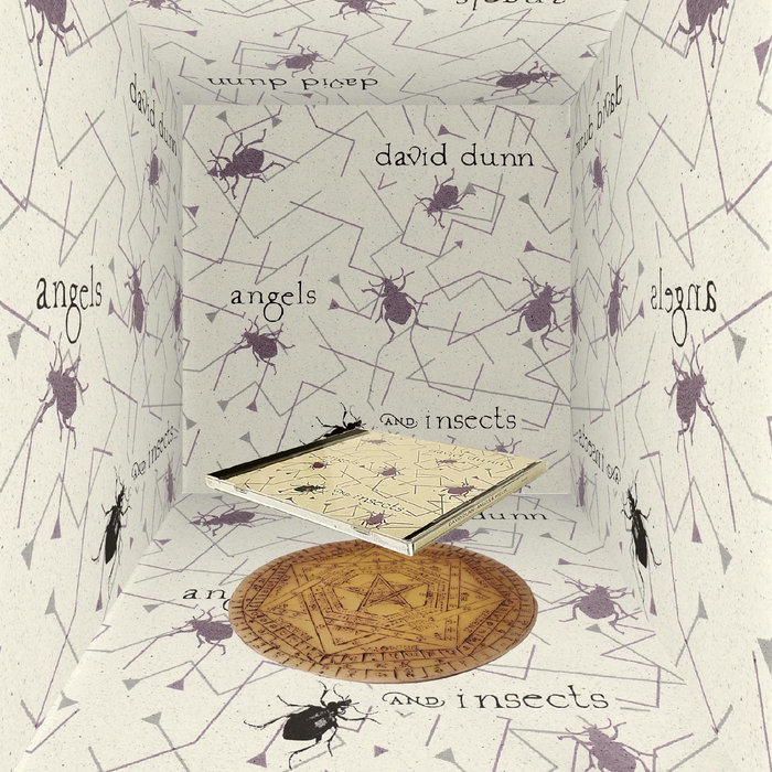 Angels and Insects（天使と昆虫） | David Dunn | EM Records