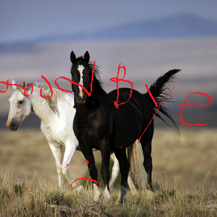 Goodbye Horses (demo) | Noiser