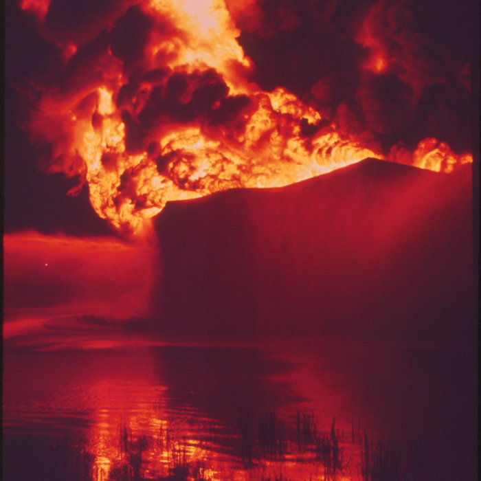 For The Freedom | Gene Ski