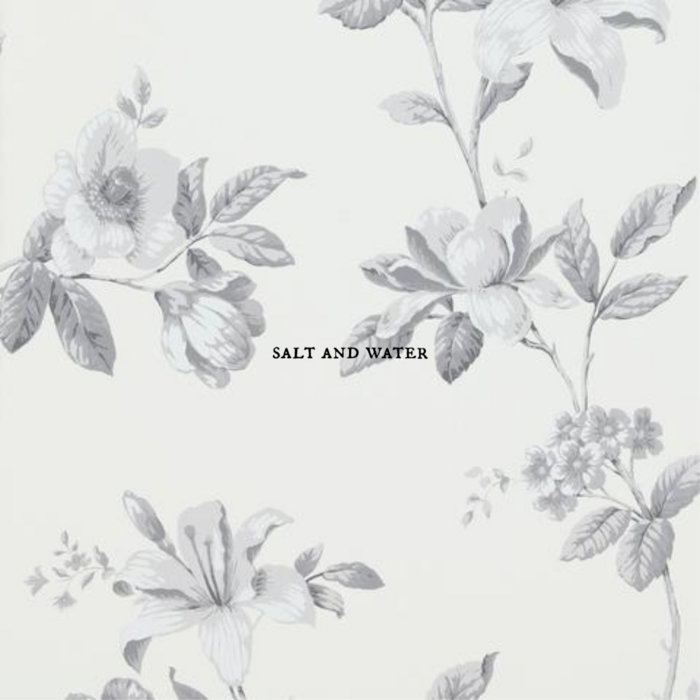 Salt and Water demos | Cole Phillips