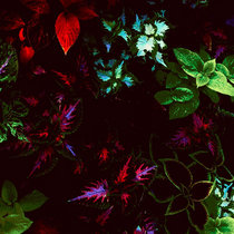 Good Enough | Natiform