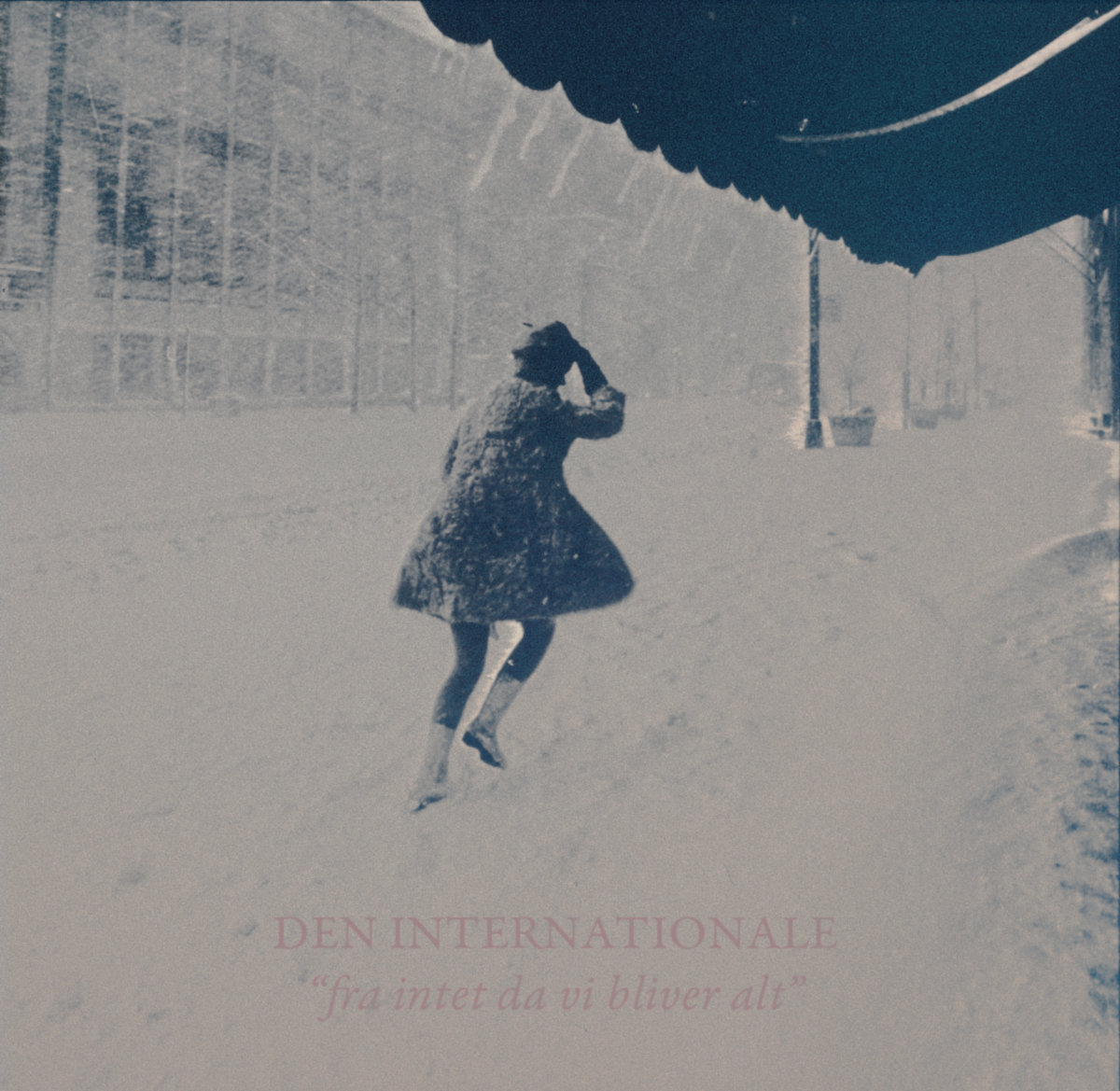 Den Internationale | RKP Katten