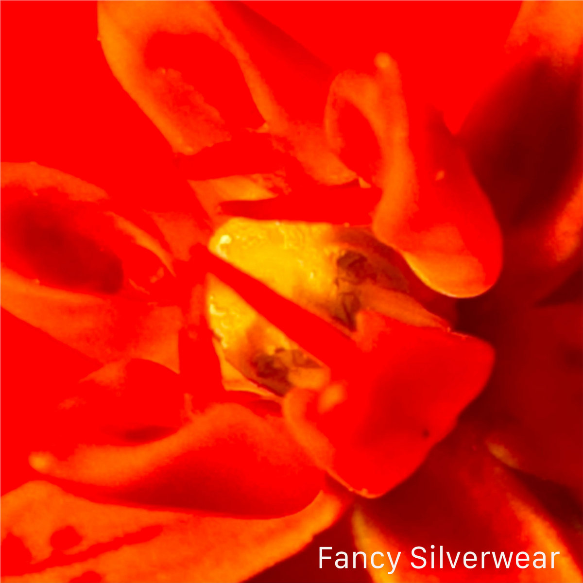 Fancy Silverware | Bloom Caster