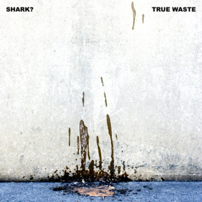 Shark? - True Waste | Shark?