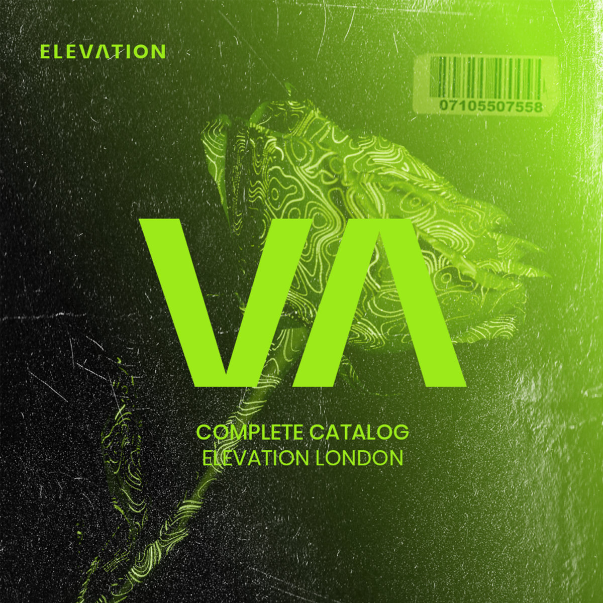 Elevation's Complete Catalog | Elevation London
