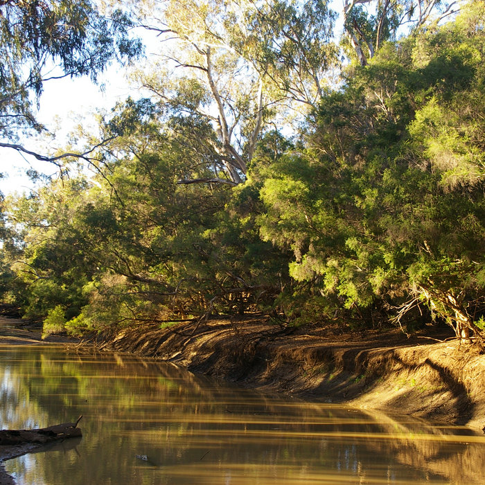 Jesus Wasn't Very Picky | Andrew Dutney