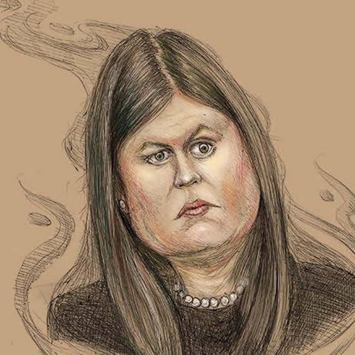 Smoky Eye | Sarah Huckabee Sanders