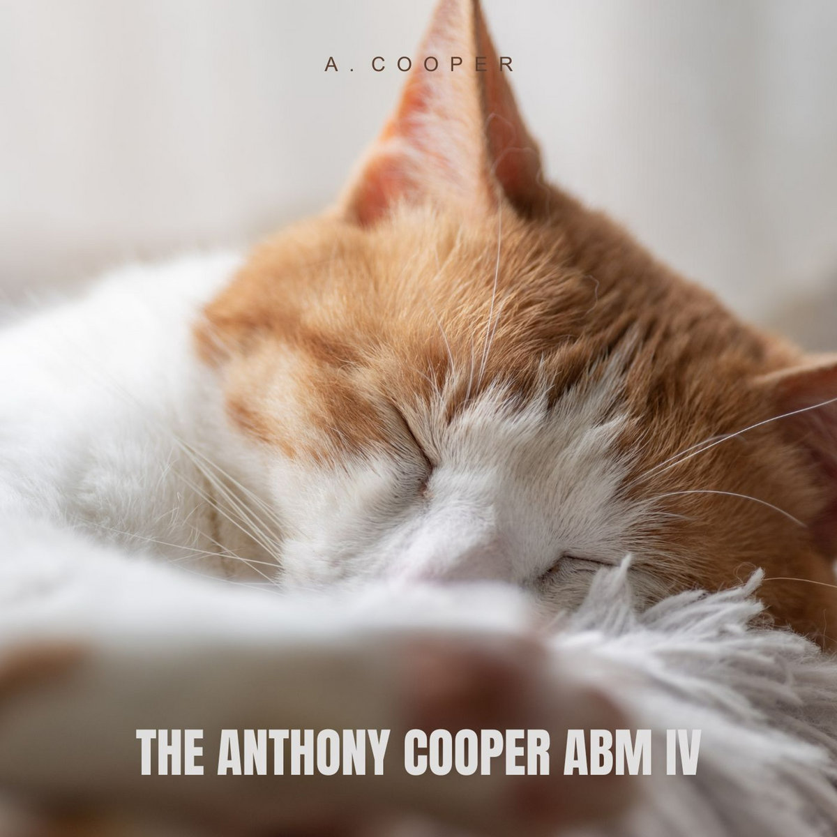 The Anthony Cooper ABM IV | A. Cooper