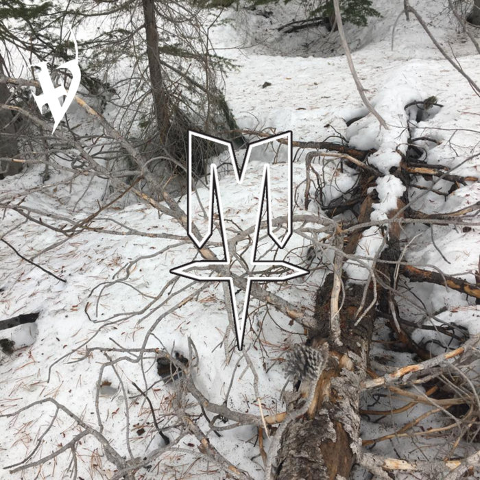 Metal Trenches Volume V | Metal Trenches