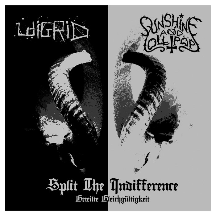 Split the Indifference (Geteilte Gleichgültigkeit) | Wigrid