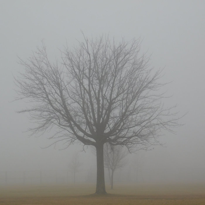 Depressing Field - The Vampire Pleasures Himself In A Wine Cellar With ...