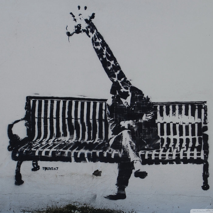 Dazed and Amused | Cool Whip | David Trull