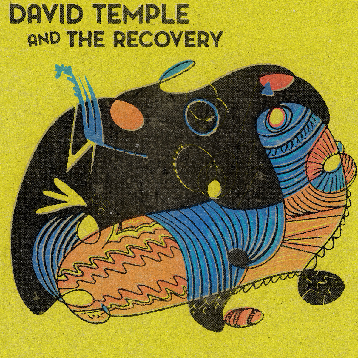 David Temple and The Recovery | David Temple and The Recovery