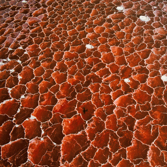 Twin Paradise | Golden Drag