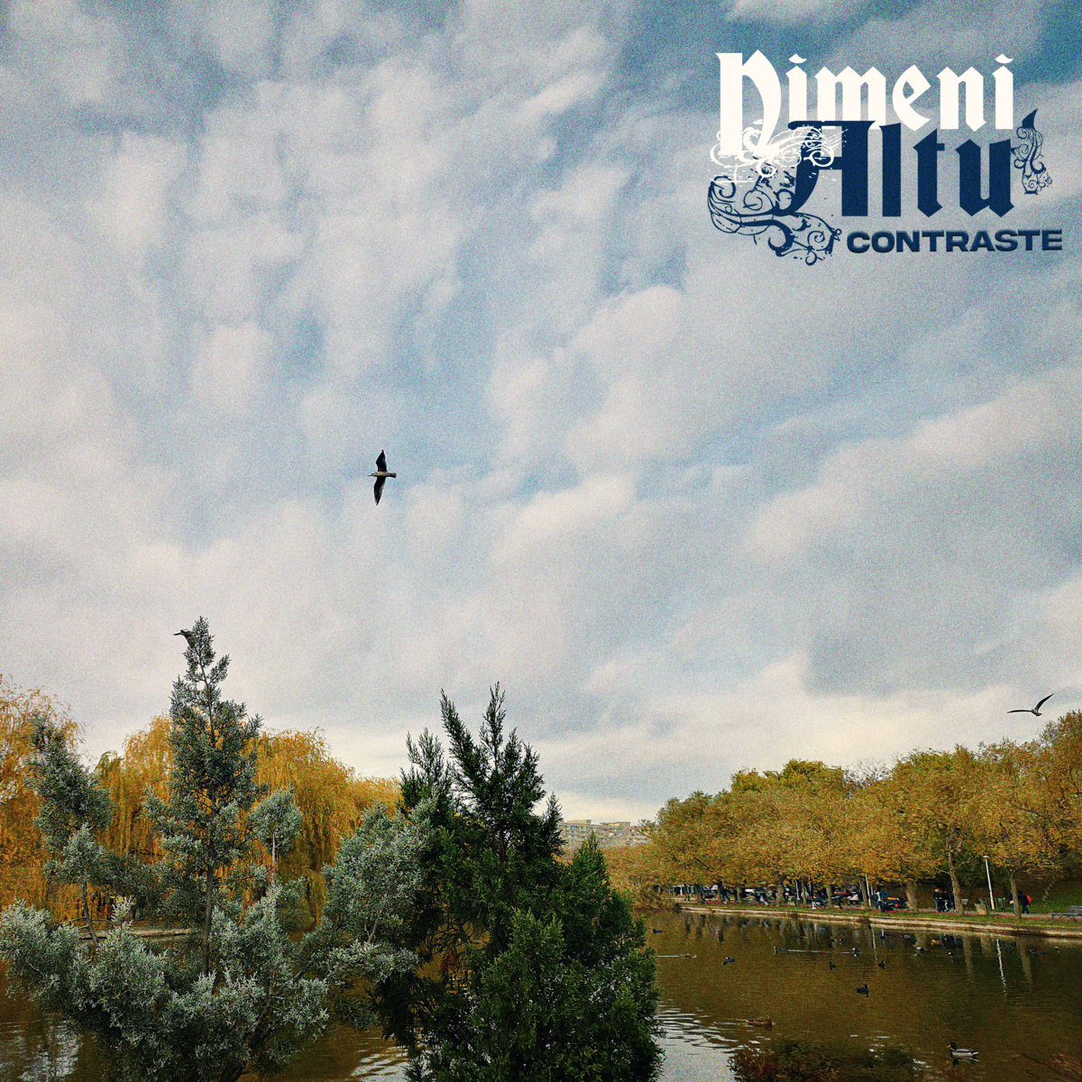 Nimeni Altu' : Contraste | Nimeni Altu'