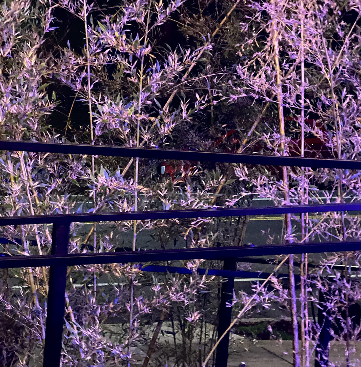 imperfect evening | Trevor Martin | Trevor Daniel Martin